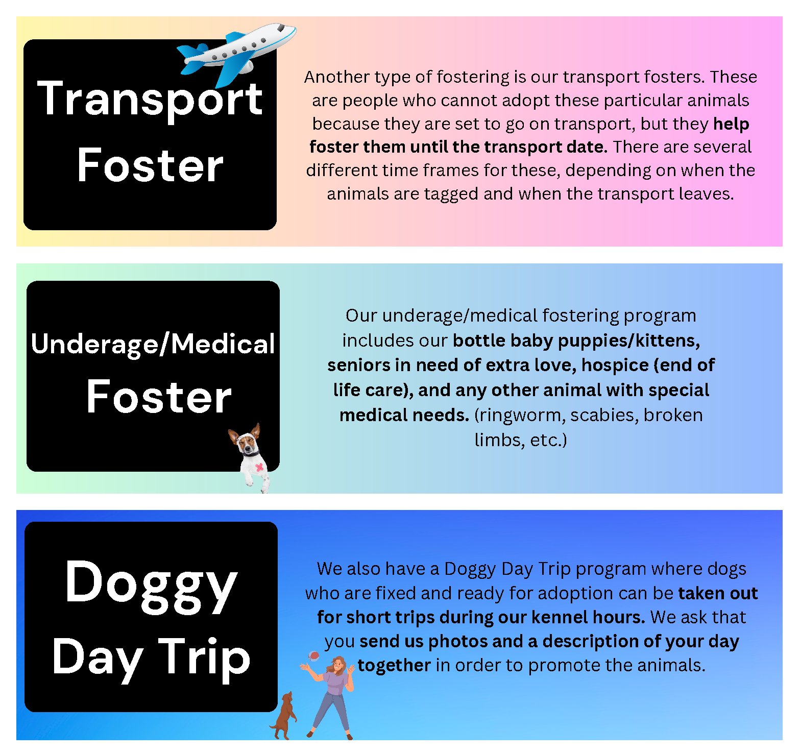 Types of Fostering | Fort Bend County